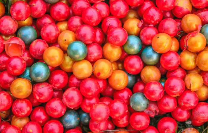 Can Paintballs Be Frozen? - A Comprehensive Guide